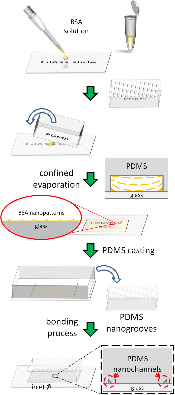Fabrication of long poly(dimethyl siloxane) nanochannels by replicating ...