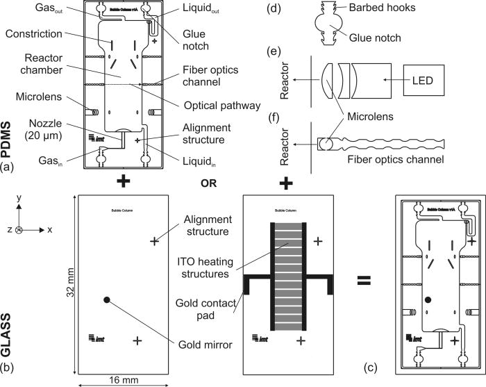 Vertical microbubble column–A photonic lab-on-chip for cultivation and ...