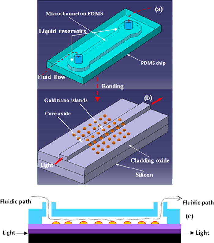 Nano-islands integrated evanescence-based lab-on-a-chip on silica-on ...
