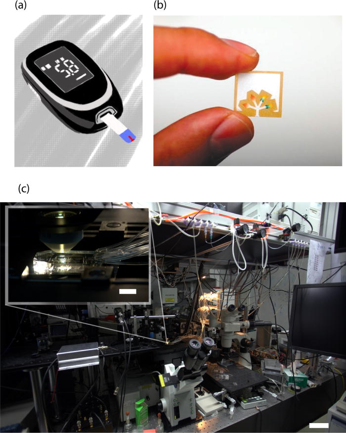 Chip in a lab: Microfluidics for next generation life science research ...