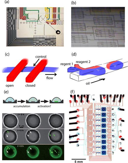 Chip in a lab: Microfluidics for next generation life science research ...