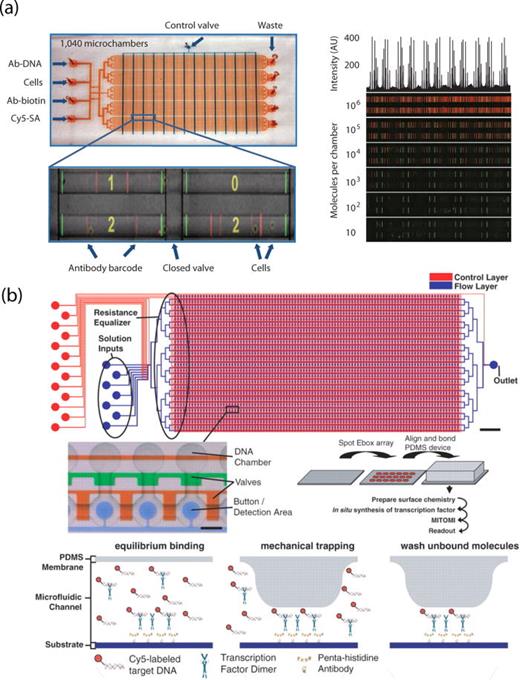Chip in a lab: Microfluidics for next generation life science research ...