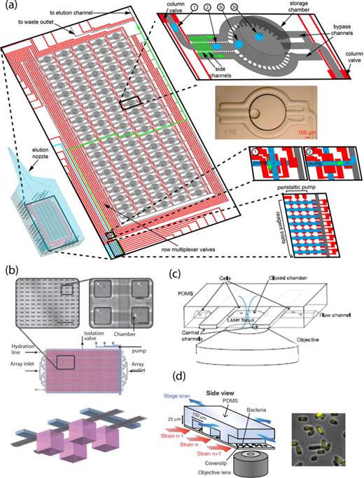 Chip in a lab: Microfluidics for next generation life science research ...