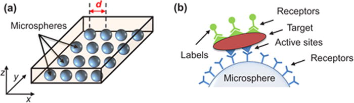 Optimization of microfluidic microsphere-trap arrays | Biomicrofluidics | AIP Publishing