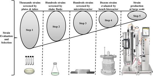 Review of microfluidic microbioreactor technology for high-throughput submerged microbiological ...