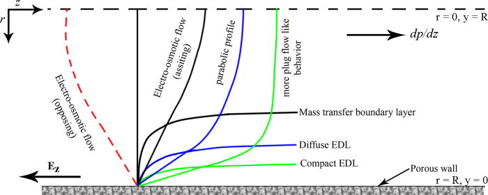Effects of non-Newtonian power law rheology on mass transport of a ...