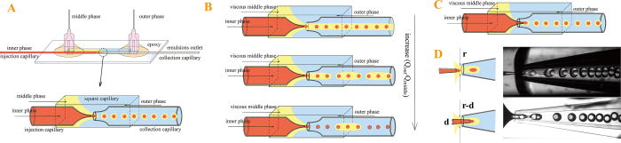 Microfluidic fabrication of polymeric core-shell microspheres for ...