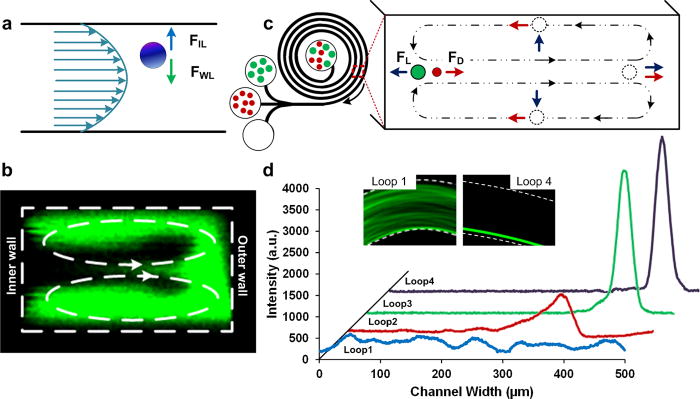Continuous separation of blood cells in spiral microfluidic devices ...