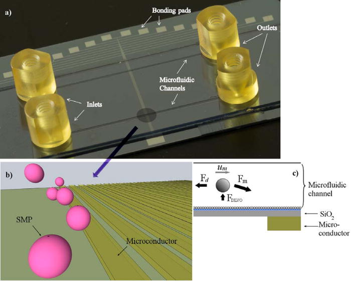 On-chip microfluidic biosensor using superparamagnetic microparticles ...