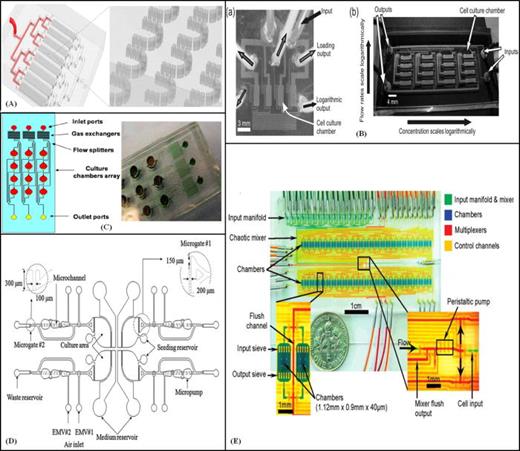 Microfluidic devices for cell cultivation and proliferation | Biomicrofluidics | AIP Publishing