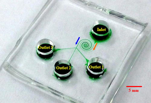Microfluidic electrical sorting of particles based on shape in a spiral ...