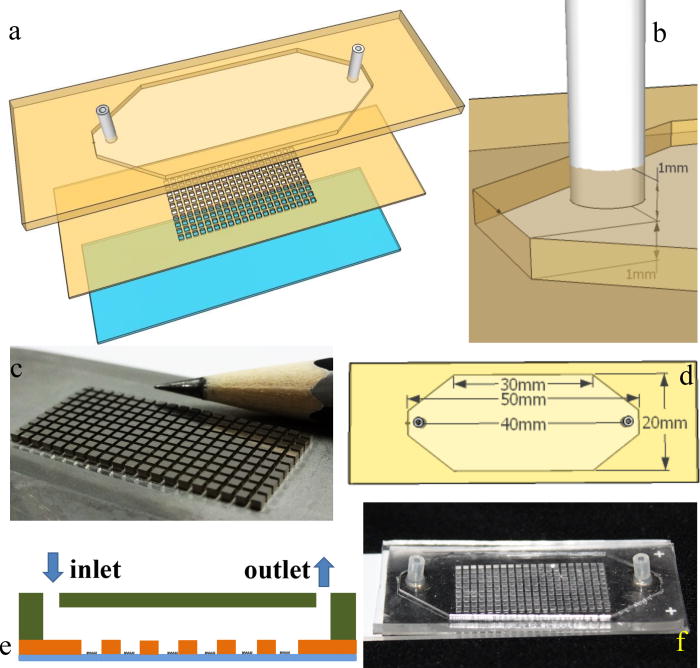 An electrostatic microwell–based biochip for phytoplanktonic cell ...