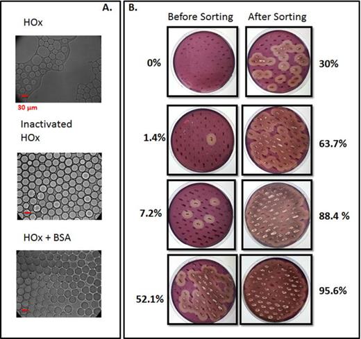 A high-throughput cellulase screening system based on droplet ...