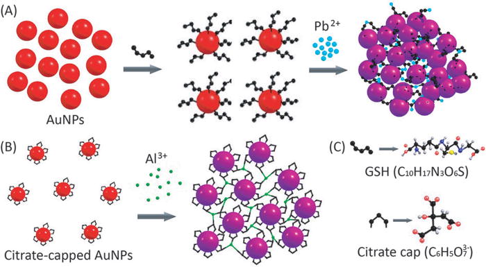 A portable lab-on-a-chip system for gold-nanoparticle-based ...