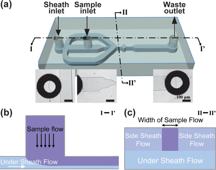Effect of a dual inlet channel on cell loading in microfluidics ...
