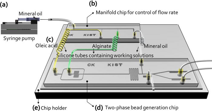 A microfluidic manifold with a single pump system to generate highly ...
