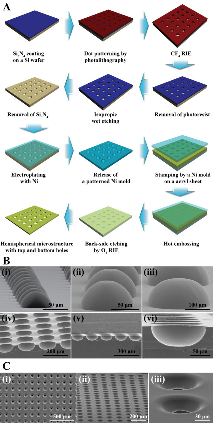 A large-area hemispherical perforated bead microarray for monitoring ...