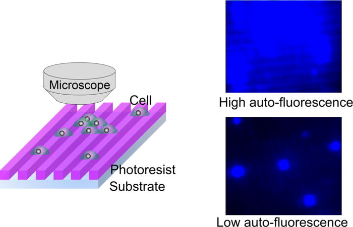 Development of low-fluorescence thick photoresist for high-aspect-ratio ...