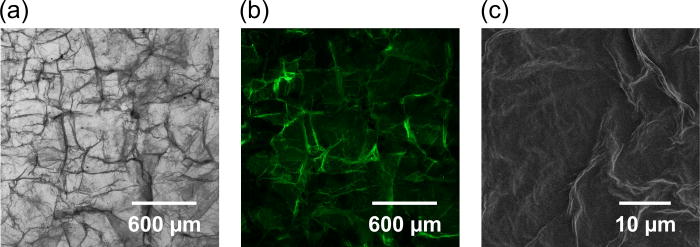 Surface modification on polydimethylsiloxane-based microchannels with ...