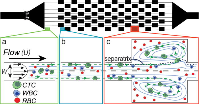 High efficiency vortex trapping of circulating tumor cells ...
