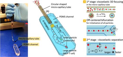 Hybrid capillary-inserted microfluidic device for sheathless particle focusing and separation in ...