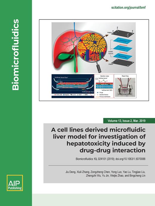 Boundary waves in a microfluidic device as a model for intramural ...