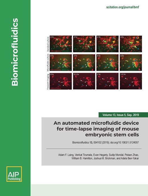 Boyden chamber-based compartmentalized tumor spheroid culture system to ...