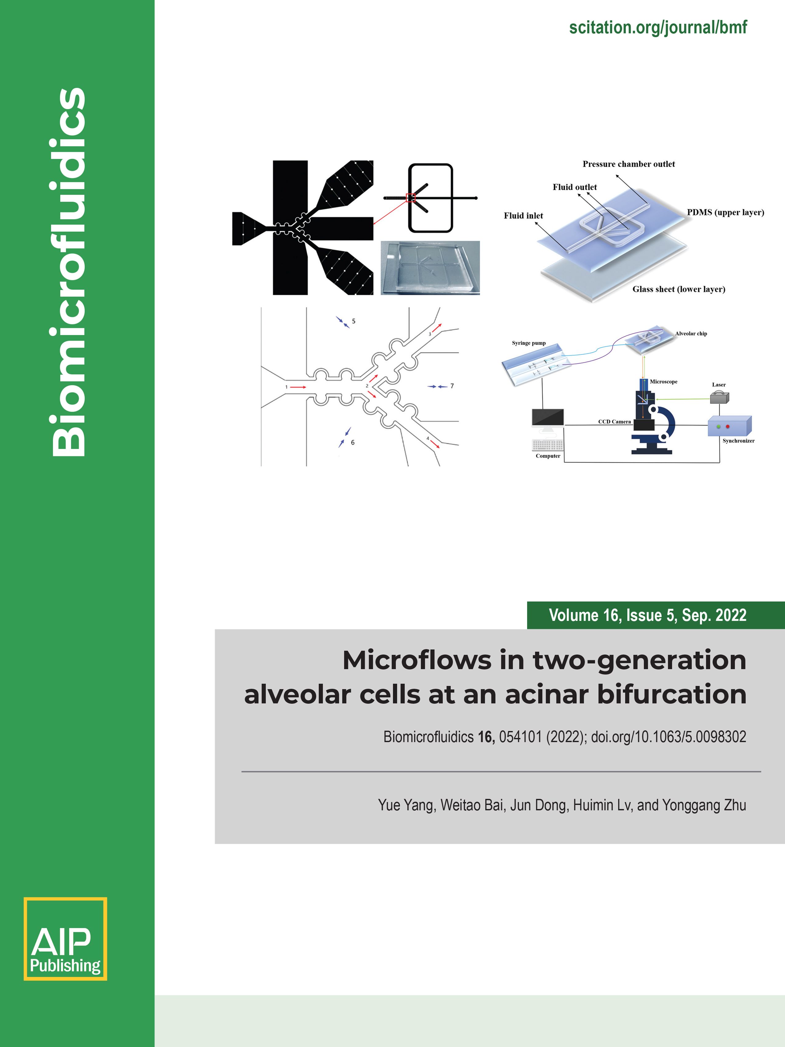 Volume 16 Issue 5 | Biomicrofluidics | AIP Publishing