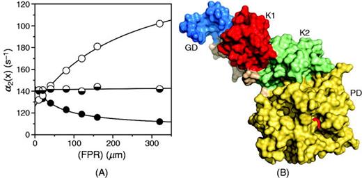 Mechanisms of ligand binding | Biophysics Reviews | AIP Publishing