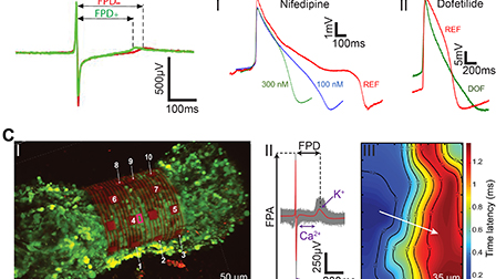 Graphene nanostructures for input–output bioelectronics | Biophysics ...