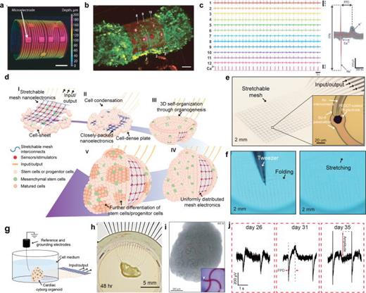 Soft bioelectronics for cardiac interfaces | Biophysics Reviews | AIP ...