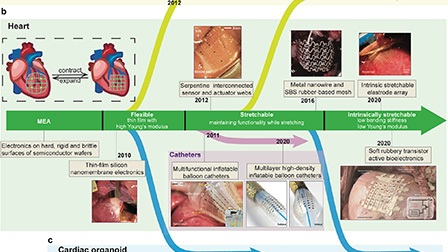 Soft bioelectronics for cardiac interfaces | Biophysics Reviews | AIP Publishing
