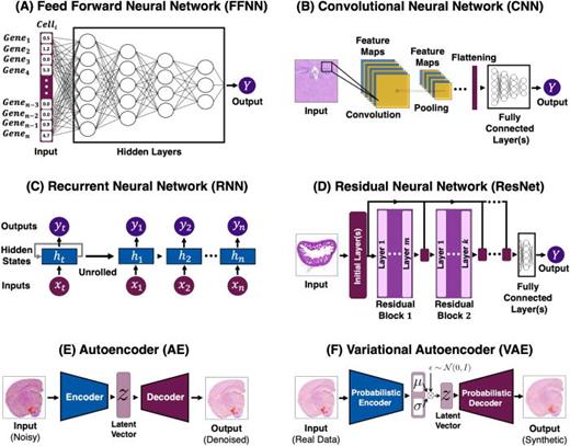 Deep learning in spatial transcriptomics: Learning from the next next-generation sequencing ...