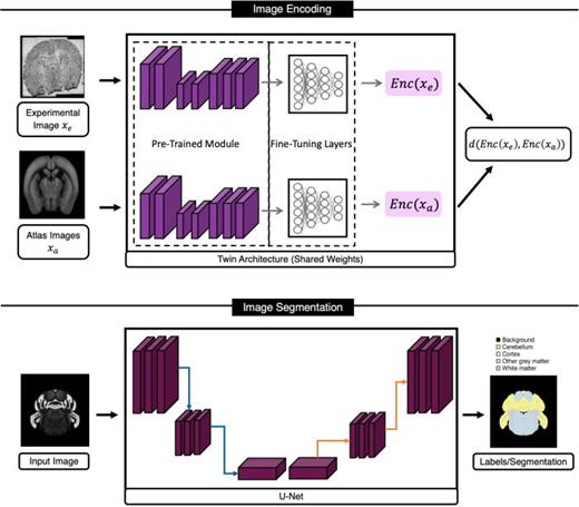 Deep learning in spatial transcriptomics: Learning from the next next ...