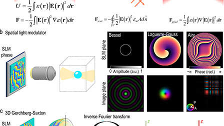 Optical trapping with holographically structured light for single-cell ...