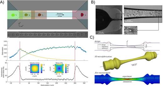 Microfluidic techniques for mechanical measurements of biological ...