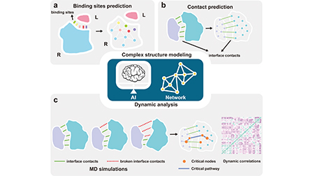 AI-integrated network for RNA complex structure and dynamic prediction ...