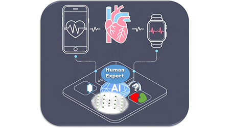 Recent advances in the tools and techniques for AI-aided diagnosis of ...