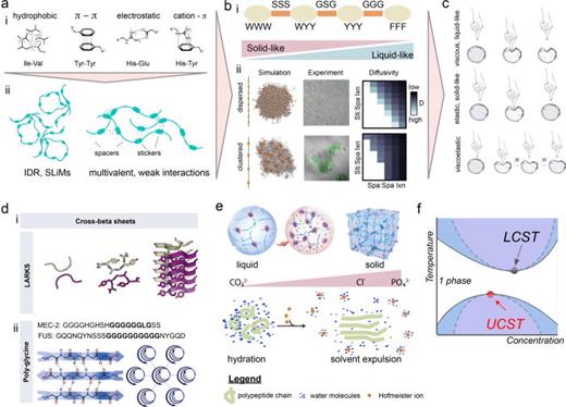 The mechanobiology of biomolecular condensates | Biophysics Reviews ...