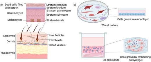 Three-dimensional models of human skin for biomedical applications ...