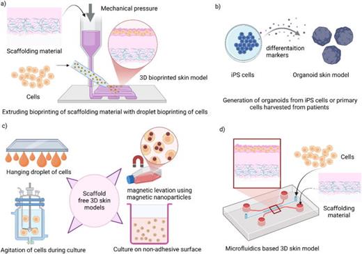 Three-dimensional models of human skin for biomedical applications ...