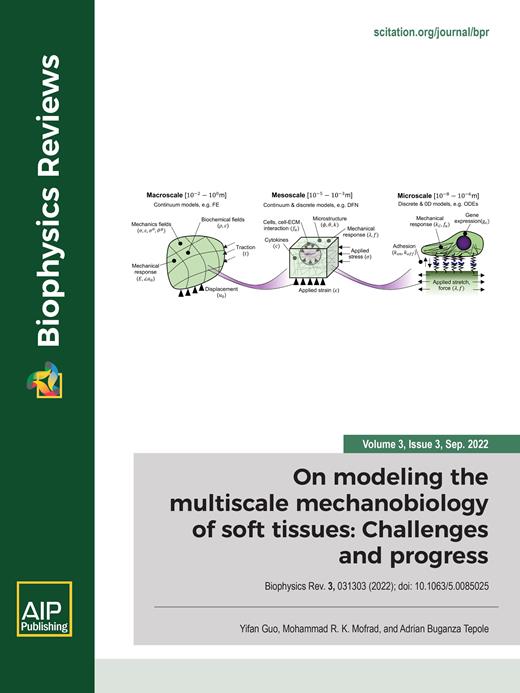 Cardiovascular consequences of sickle cell disease | Biophysics Reviews | AIP Publishing