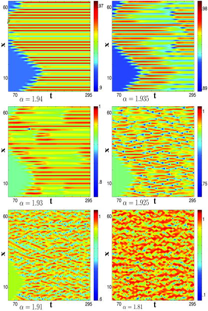 Dynamics of the chain of forced oscillators with long-range interaction: From synchronization to ...