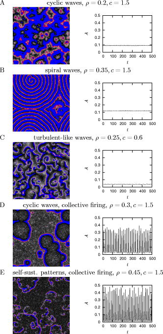 Multistability, local pattern formation, and global collective firing ...