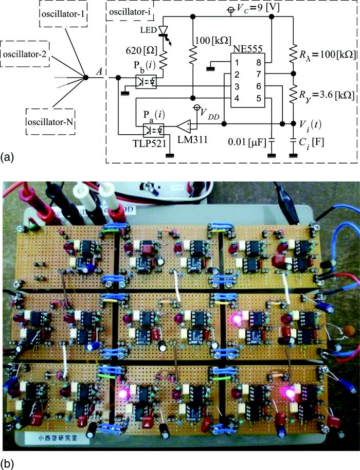 Experimental verification of synchronization in pulse-coupled oscillators with a refractory ...