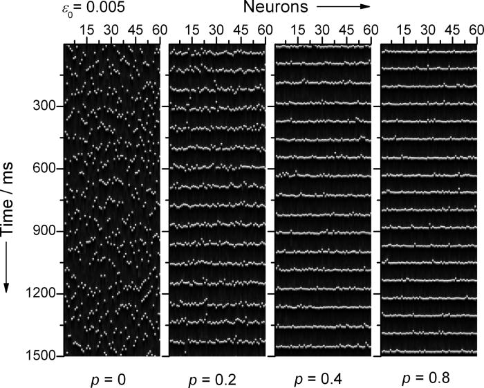 Adaptive coupling optimized spiking coherence and synchronization in Newman–Watts neuronal ...