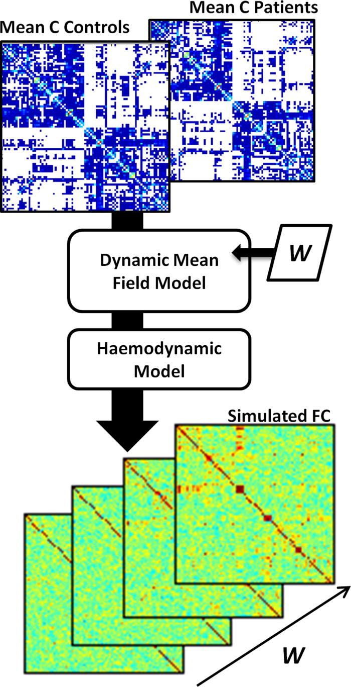 Structural connectivity in schizophrenia and its impact on the dynamics ...