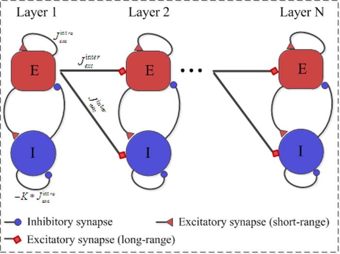 Intrinsic Excitability State Of Local Neuronal Population Modulates Signal Propagation In Feed