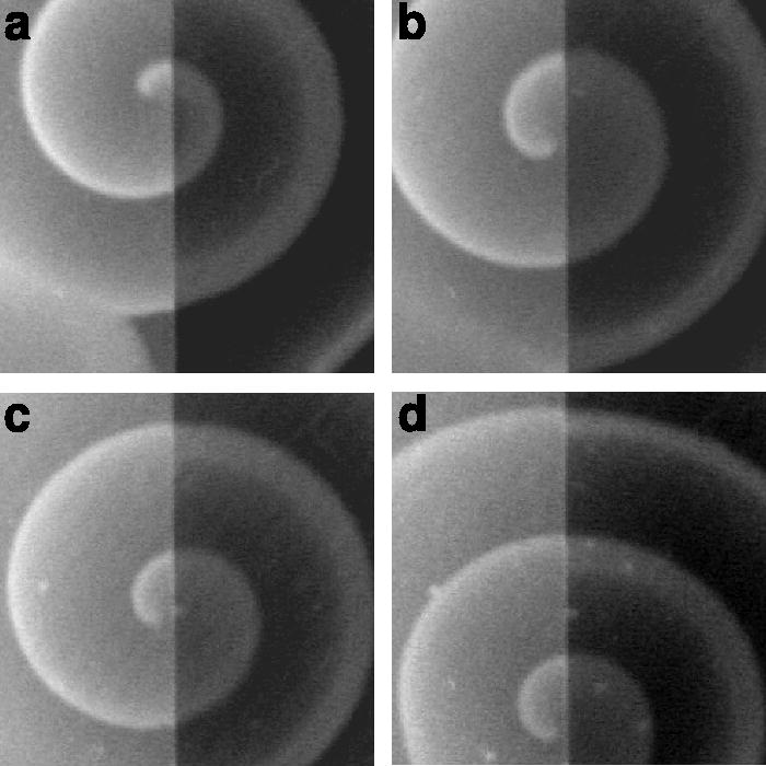 Scroll wave drift along steps, troughs, and corners | Chaos: An ...