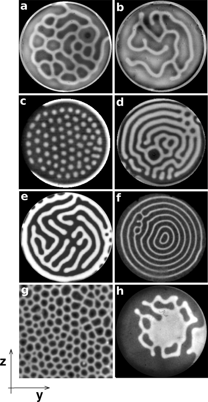 Contribution to an effective design method for stationary reaction ...